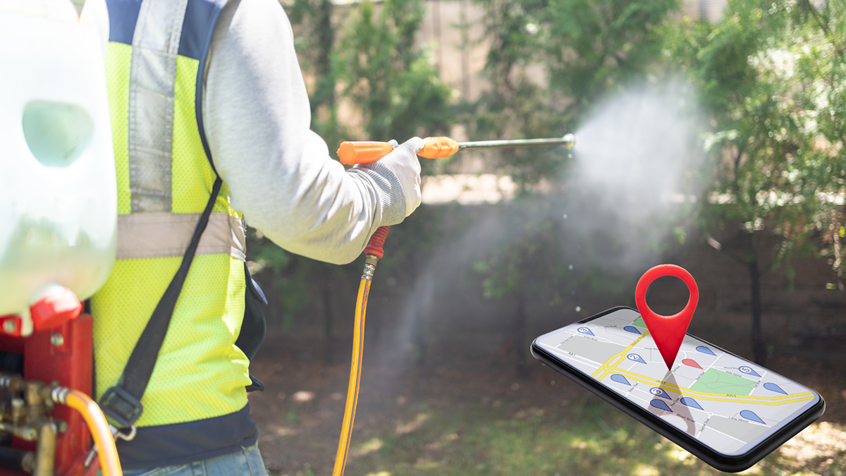 Choosing Local: The Benefits of Pest Control from a Small Family-Run ...